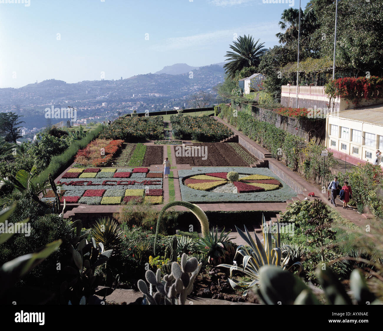 Botanischer Garten in Funchal, Madeira Stock Photo - Alamy