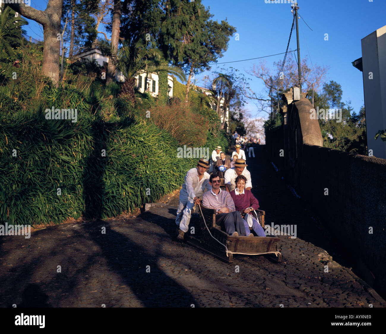 Portugal, Madeira, P-Funchal, P-Funchal-Monte, toboggan, tourists Stock ...