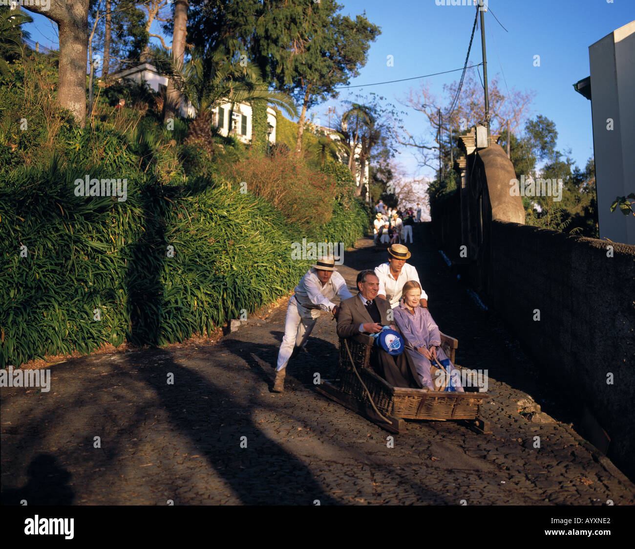 Portugal, Madeira, P-Funchal, P-Funchal-Monte, toboggan, tourists Stock ...