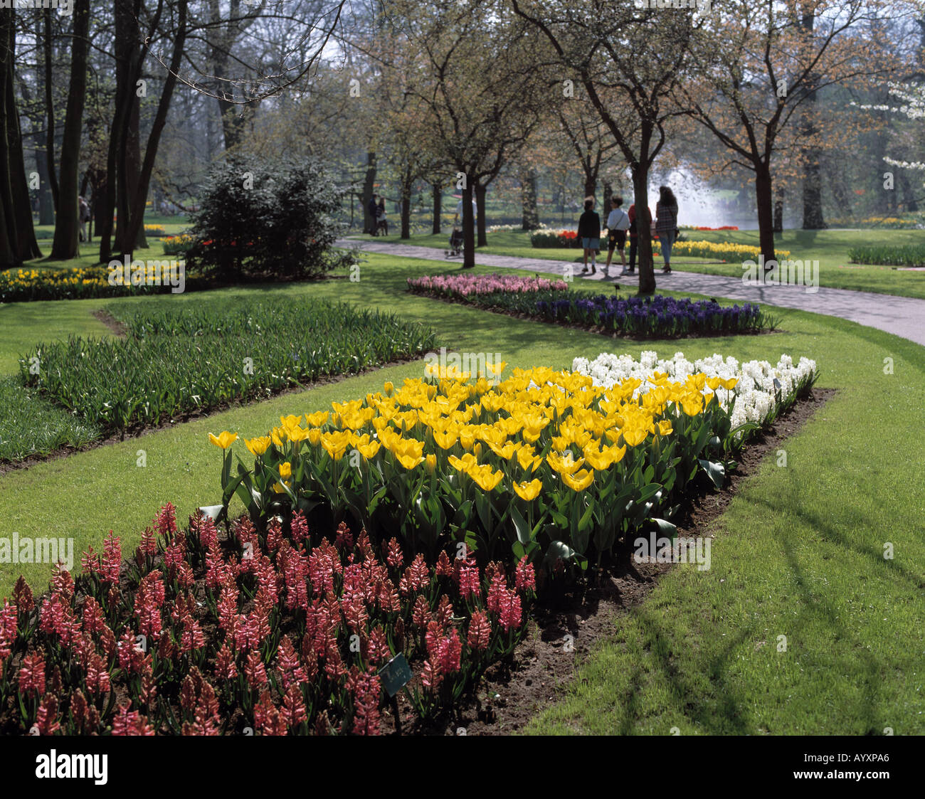Blumenbeete In Holland