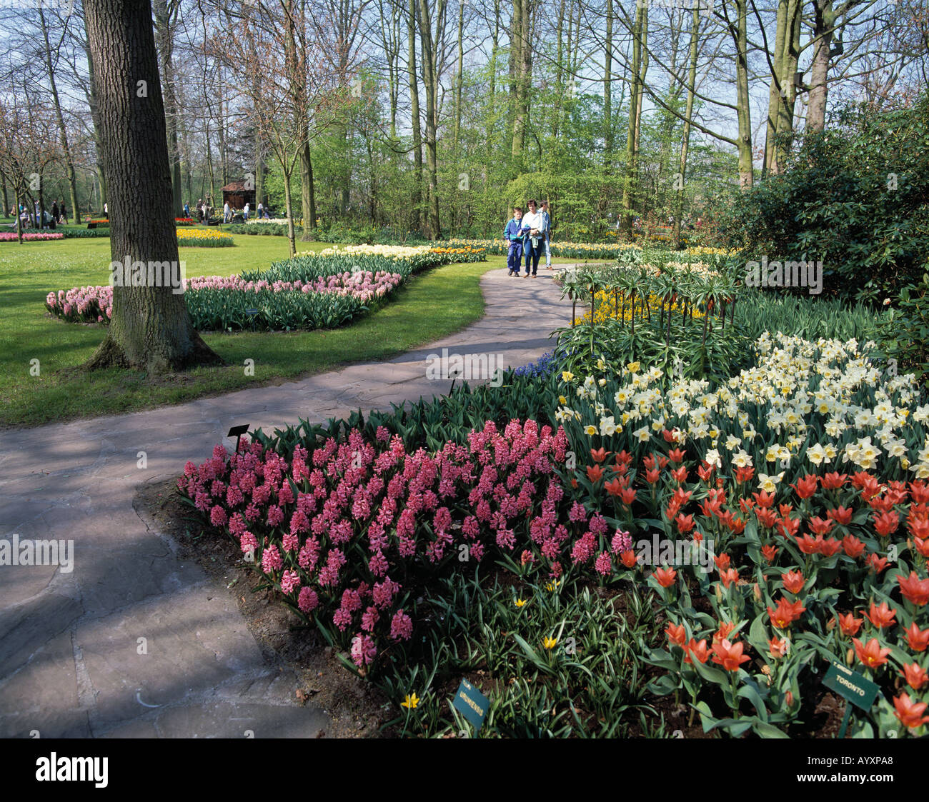 Blumenbeete In Holland