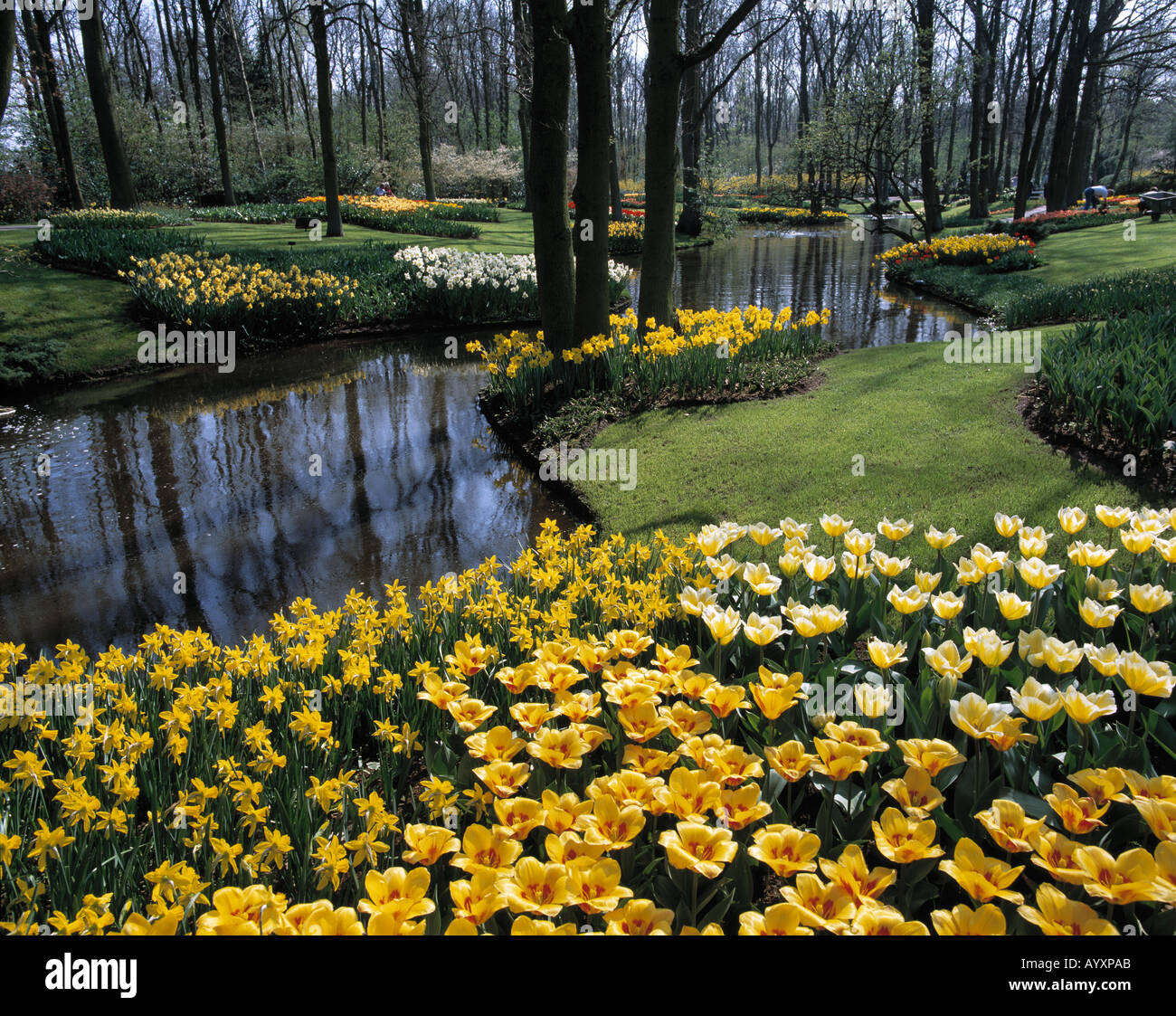 Blumenbeete In Holland