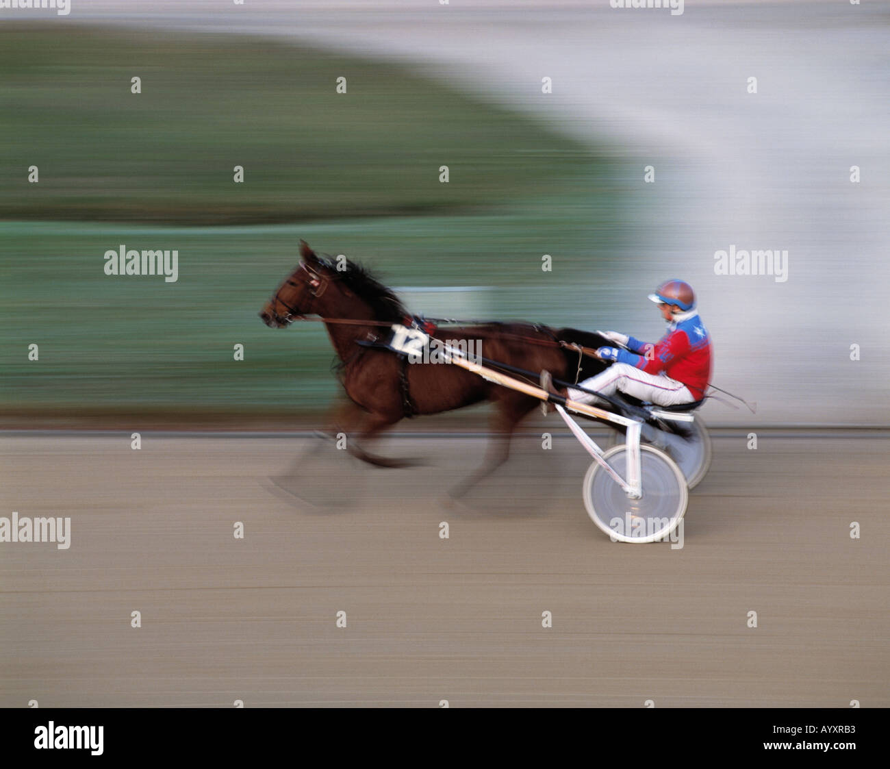 Trot race course hi-res stock photography and images - Alamy