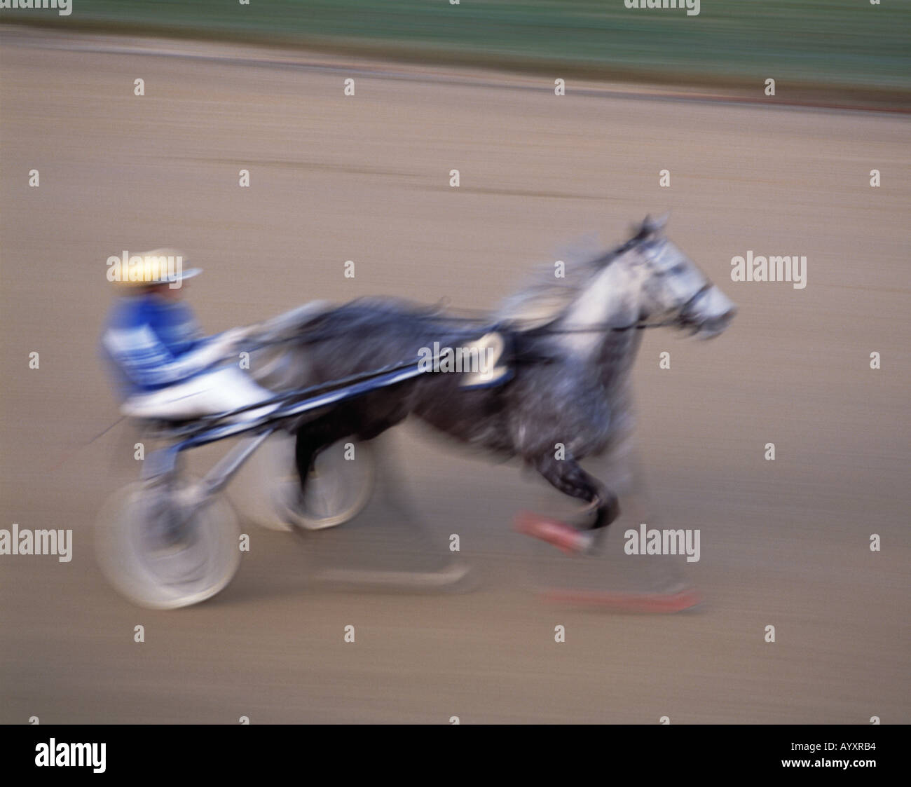 Trot race course hi-res stock photography and images - Alamy