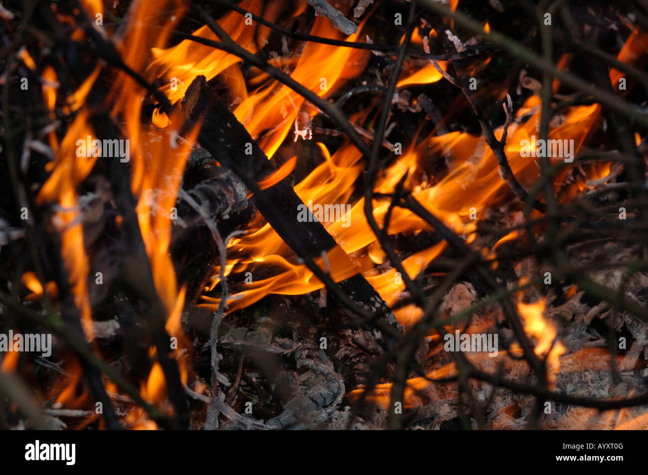 A Garden Bonfire Stock Photo - Alamy