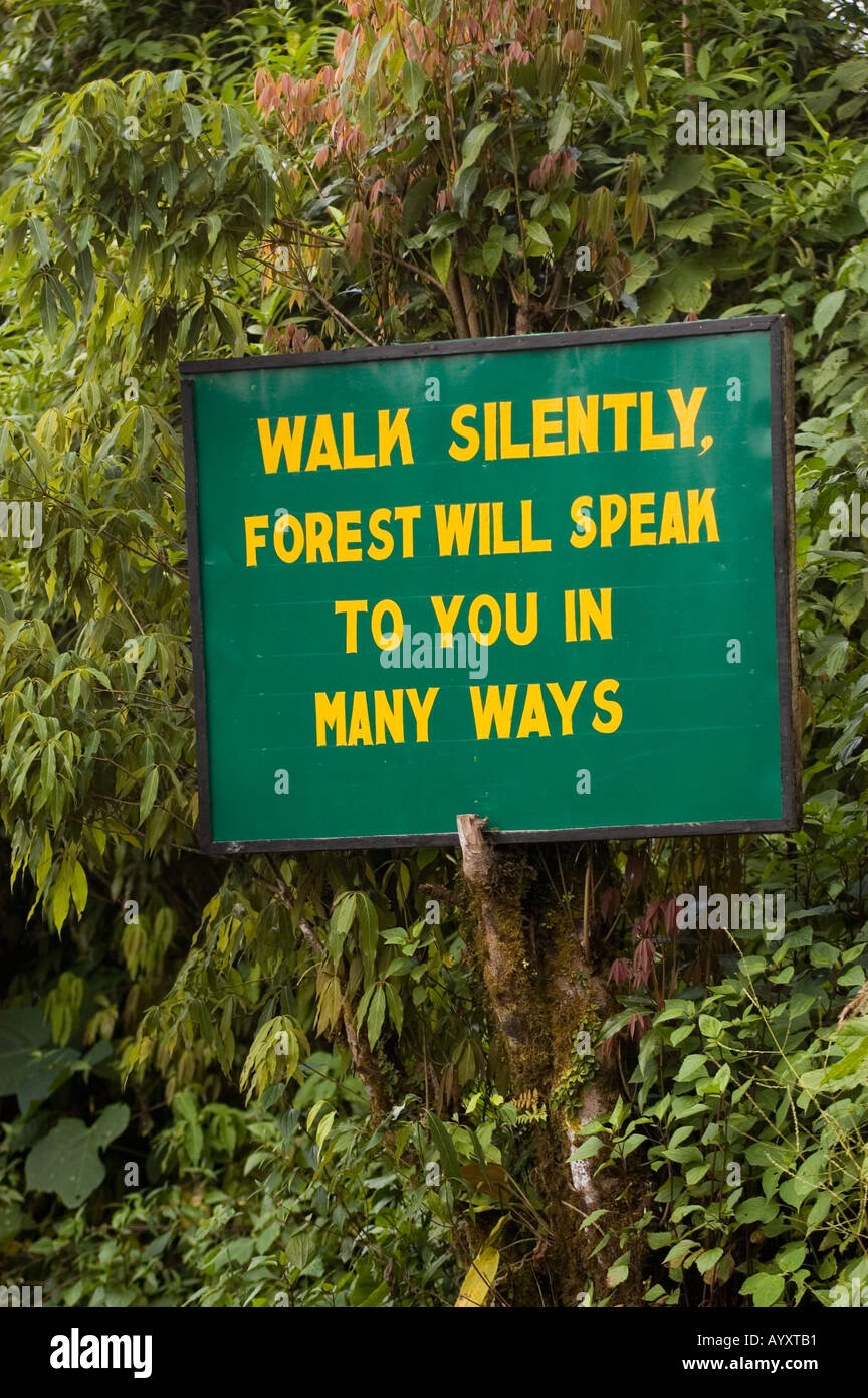 India forest walk hi-res stock photography and images - Alamy