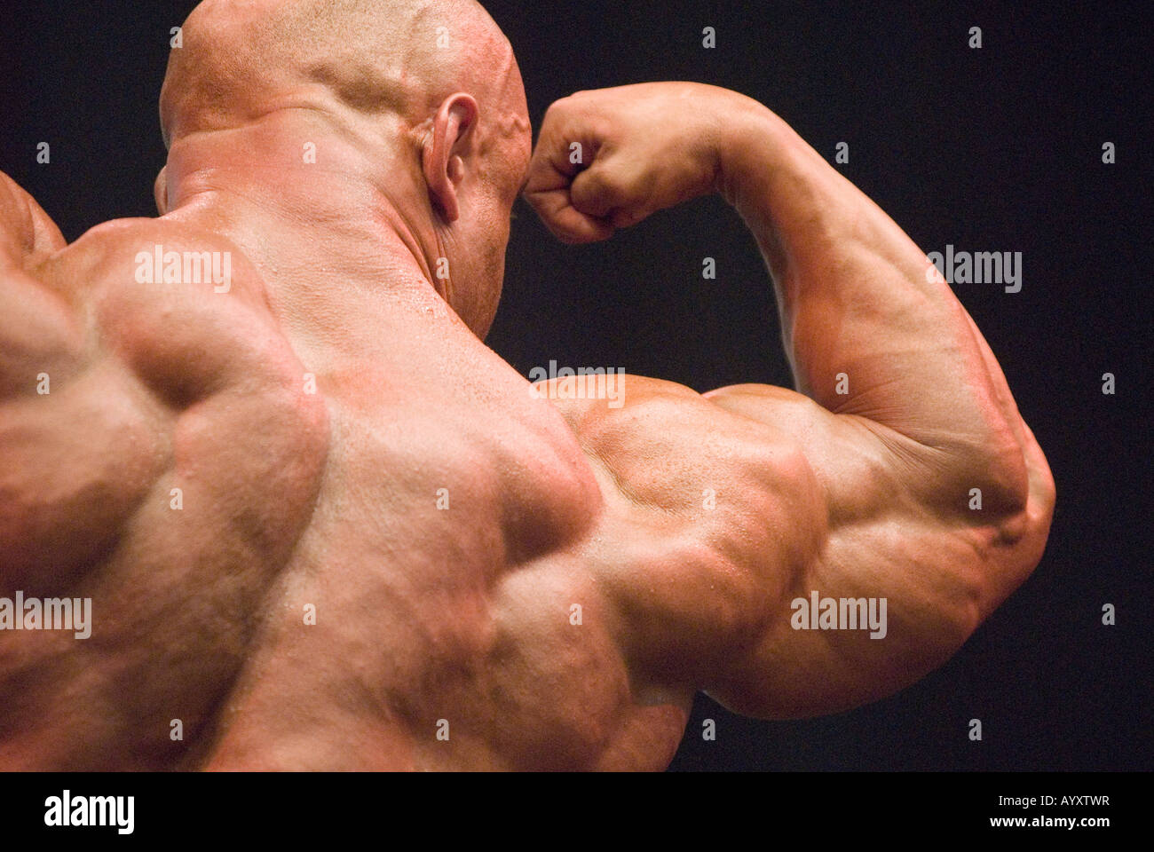 detail of a male bodybuilder during the fitness fair FIBO in Essen ...