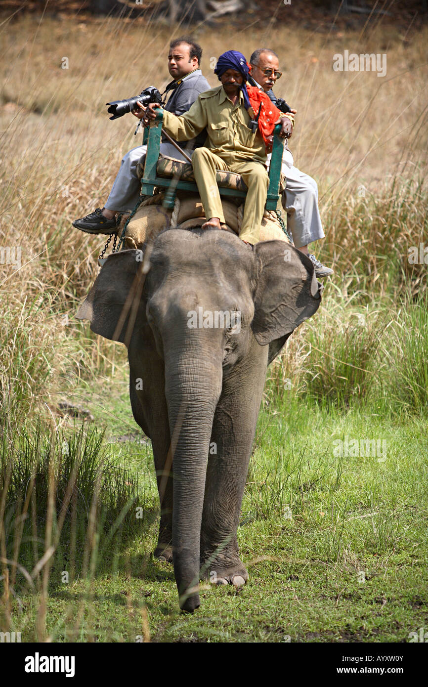 A Mahut ridding an Elephant with the tourist on it at the time of ...
