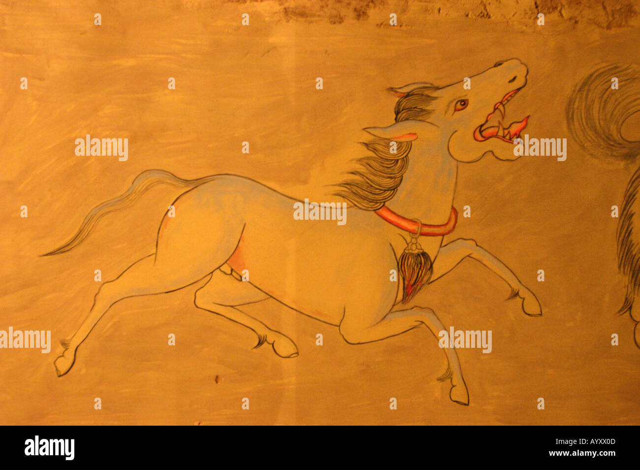 Angry fierceful buddhist deities hall mural paintings of animals in ...