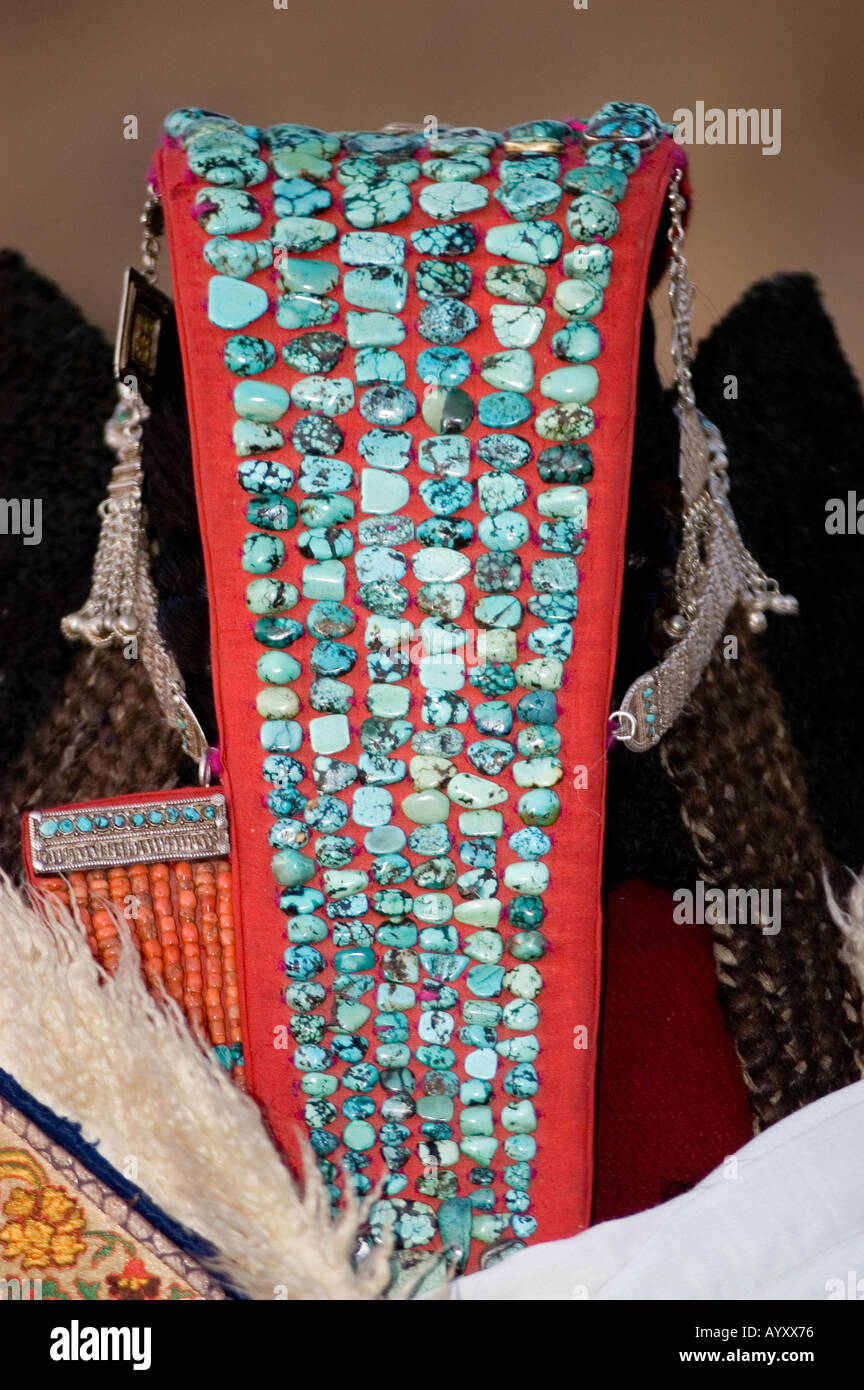 Back of traditional Ladakhi woman hat perak with silver and blue ...
