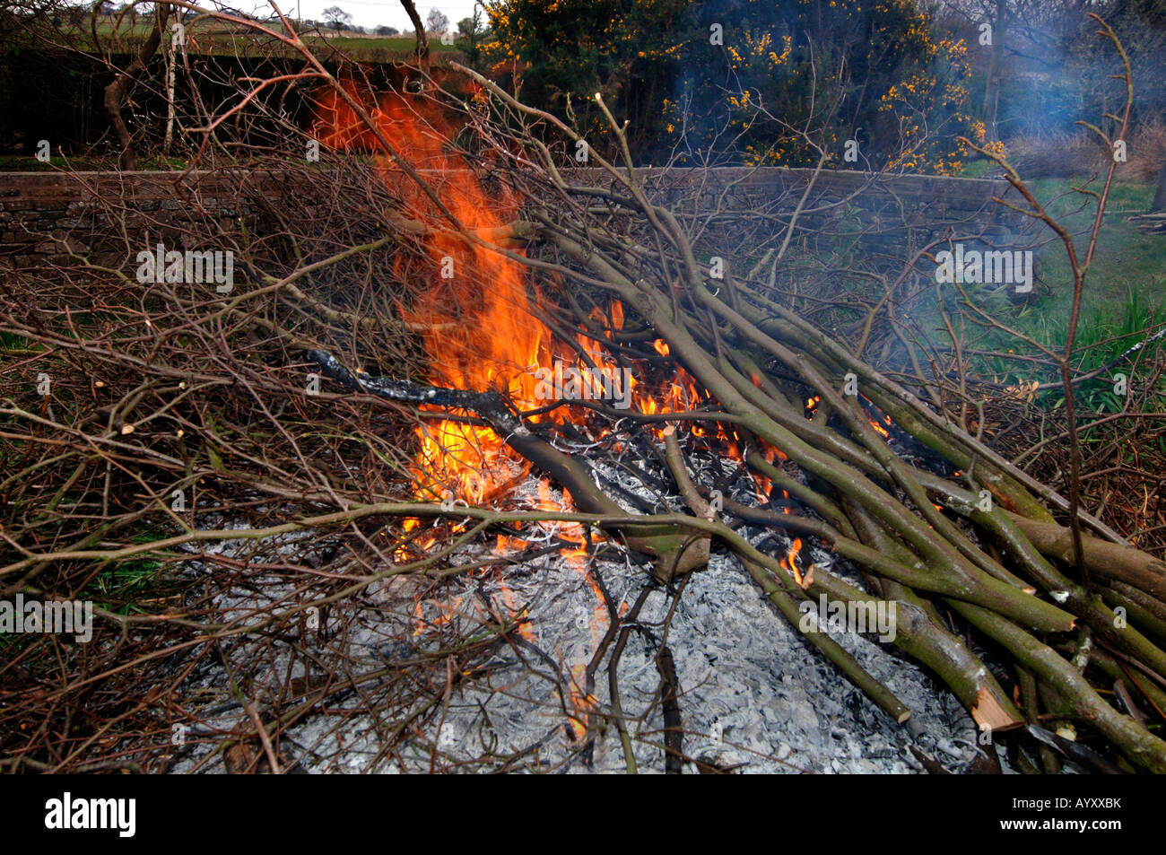 A Garden Bonfire Stock Photo - Alamy