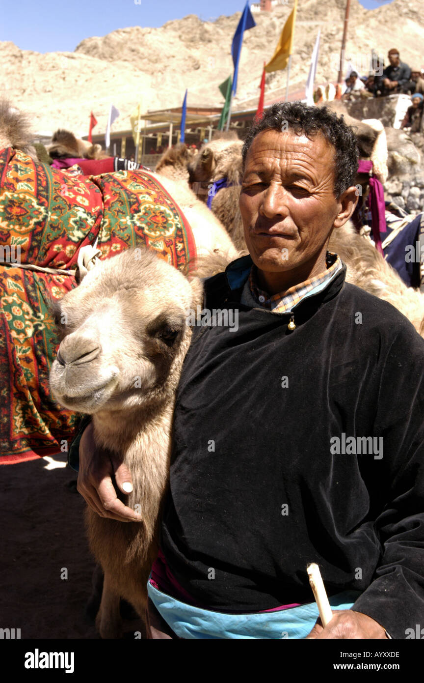 Ladakhi man with Bactrian Camel during Ladakh Festival Leh Ladakh India ...
