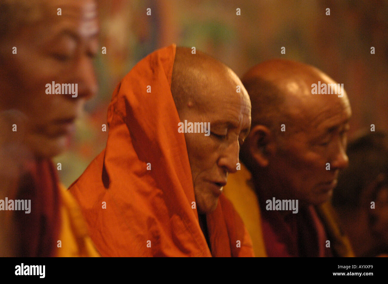 Old Tibetan monks during morning prayer puja in Thiksey Monastery Jammu ...