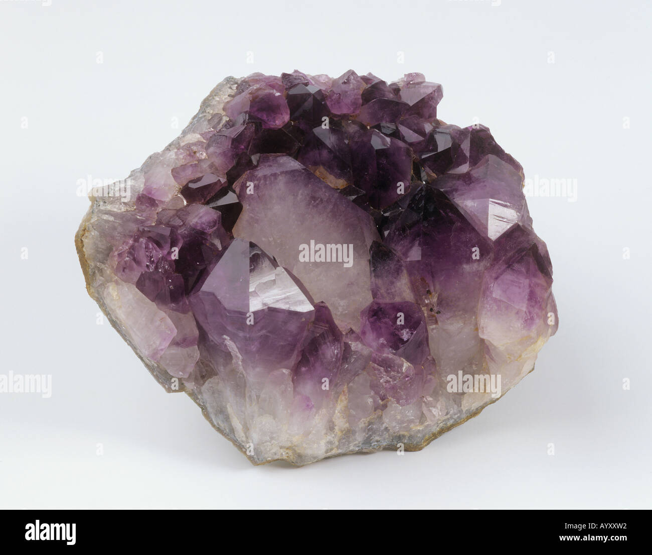 Madagaskar sri lanka hi-res stock photography and images - Alamy