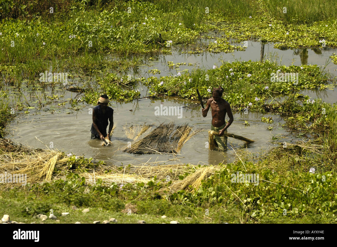 Indian peasants hi-res stock photography and images - Alamy
