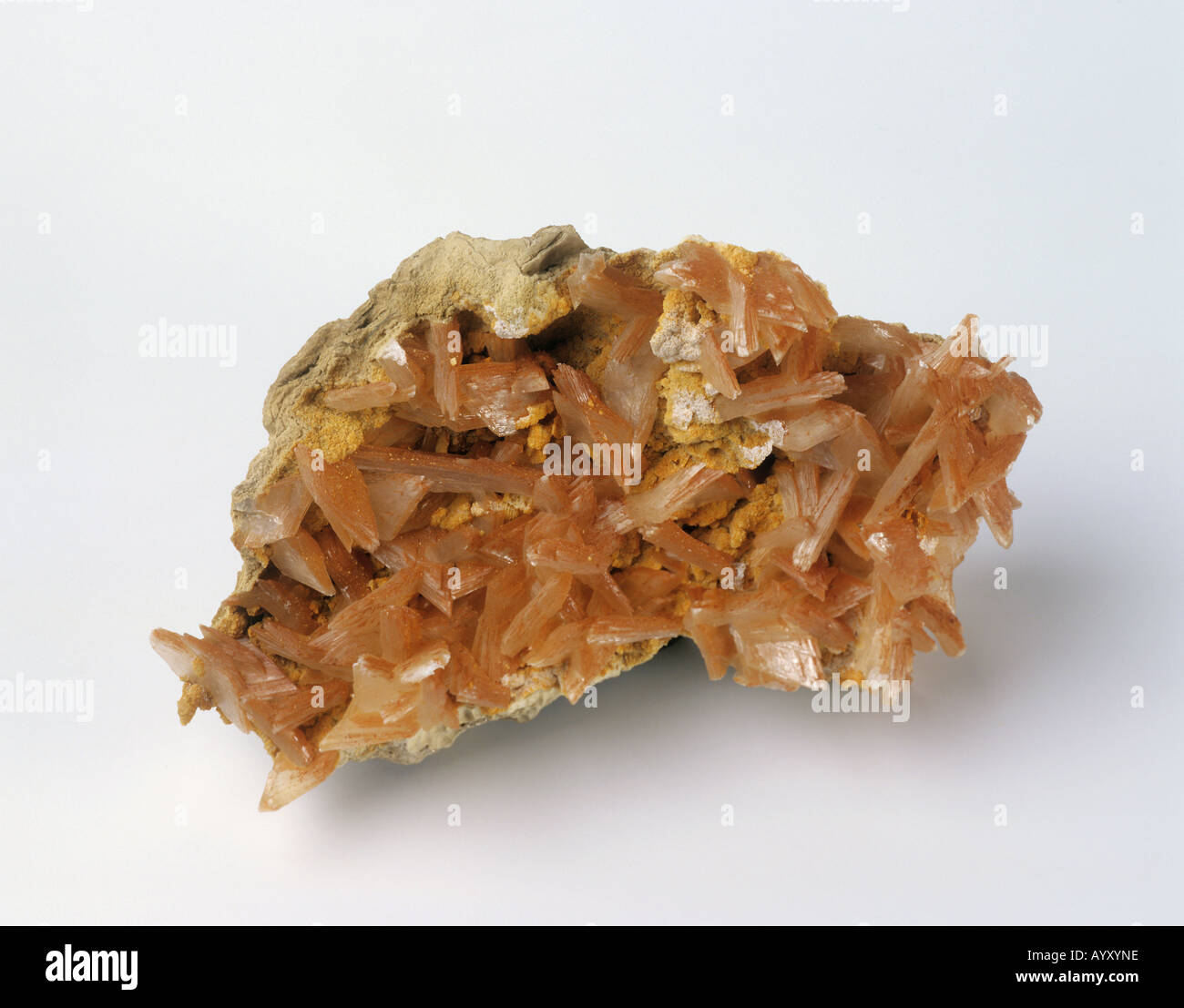 Caso4 hi-res stock photography and images - Alamy