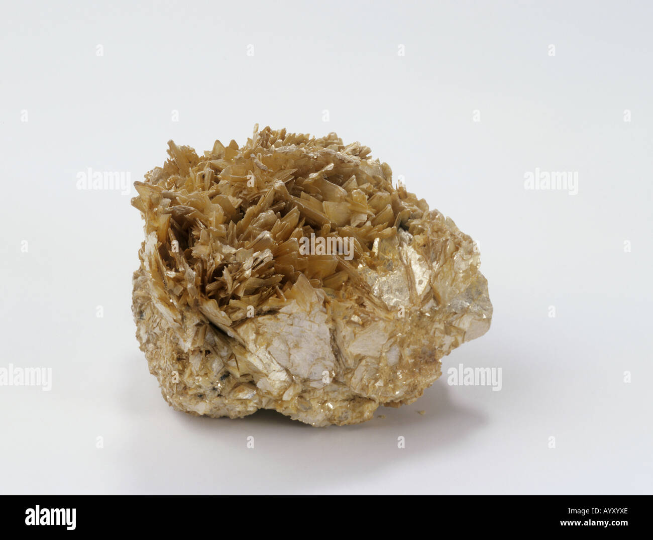 Muscovite hi-res stock photography and images - Alamy