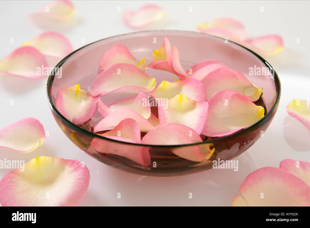 Rose petals in a dish Stock Photo - Alamy