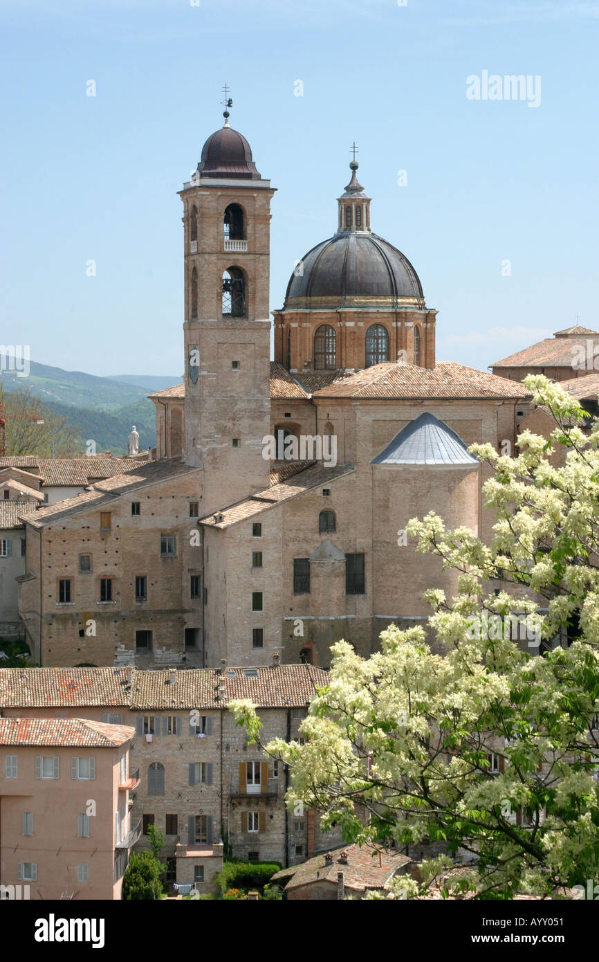 Birthplace of renaissance hi-res stock photography and images - Alamy