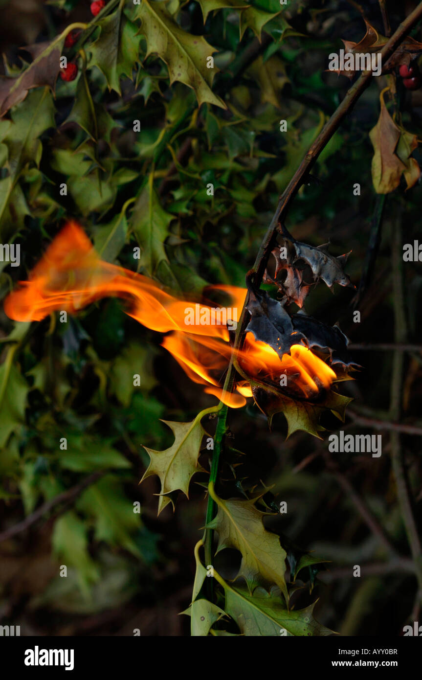 A Garden Bonfire Stock Photo - Alamy
