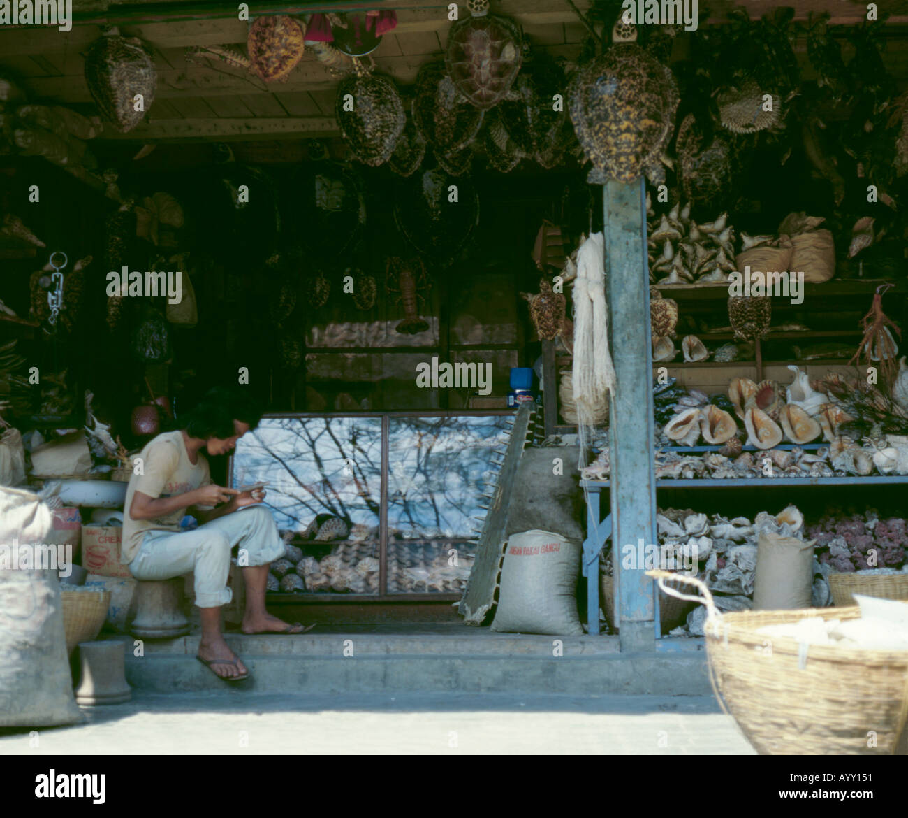 Sea shell and turtle shell stall, Jakarta Kota market area, Chinatown ...