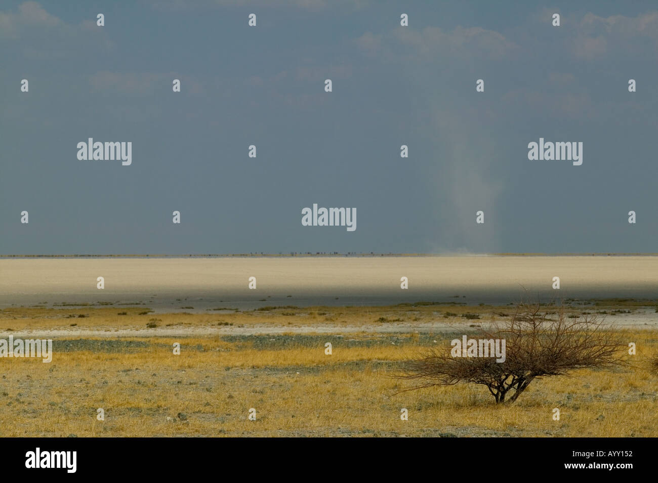 Wind storm Makadagadi Pans Botswana Africa Stock Photo - Alamy