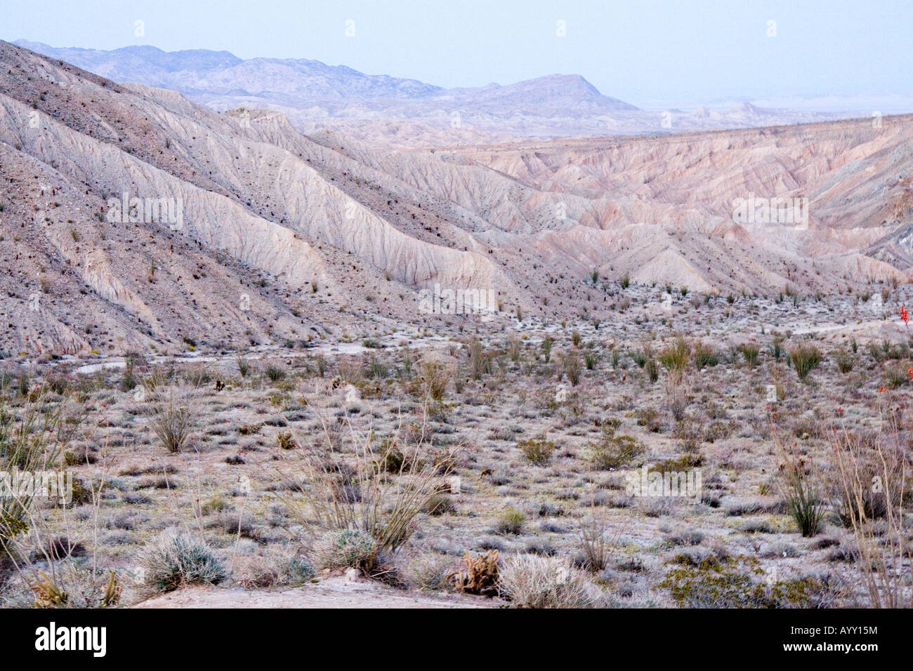 Mountains in Anza Borrego desert state park California Stock Photo - Alamy