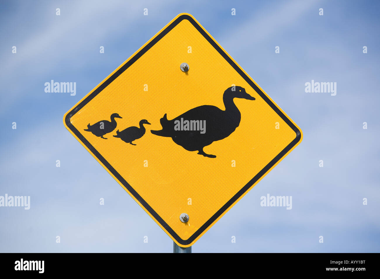 Bird sign crossing Stock Photo - Alamy