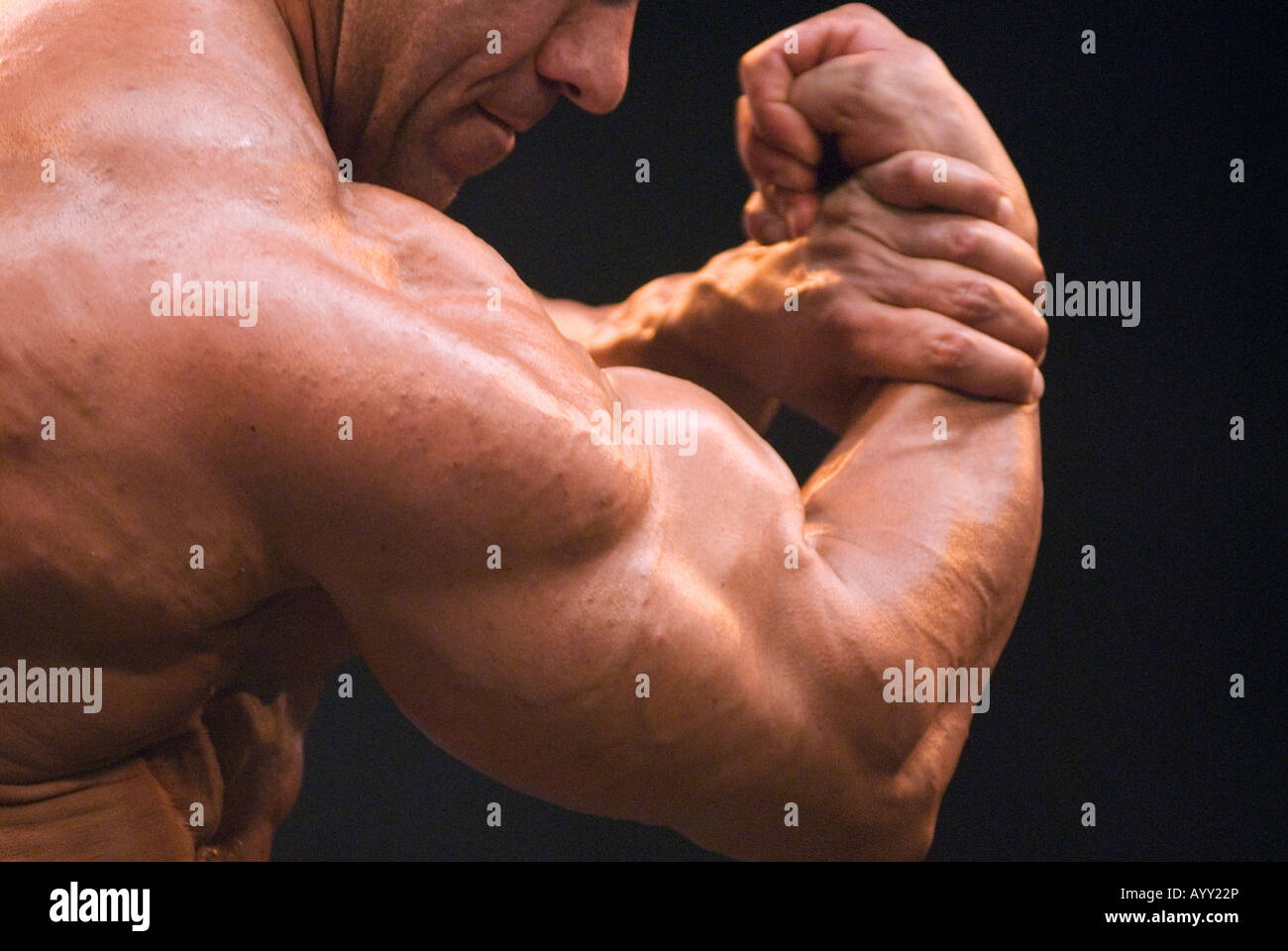 detail of a male bodybuilder during the fitness fair FIBO in Essen ...
