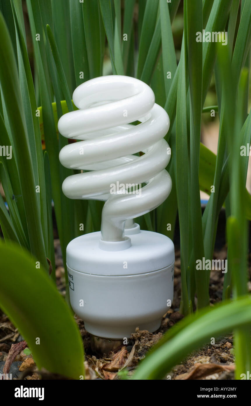 Energy saving light bulb in nature, concept Stock Photo - Alamy