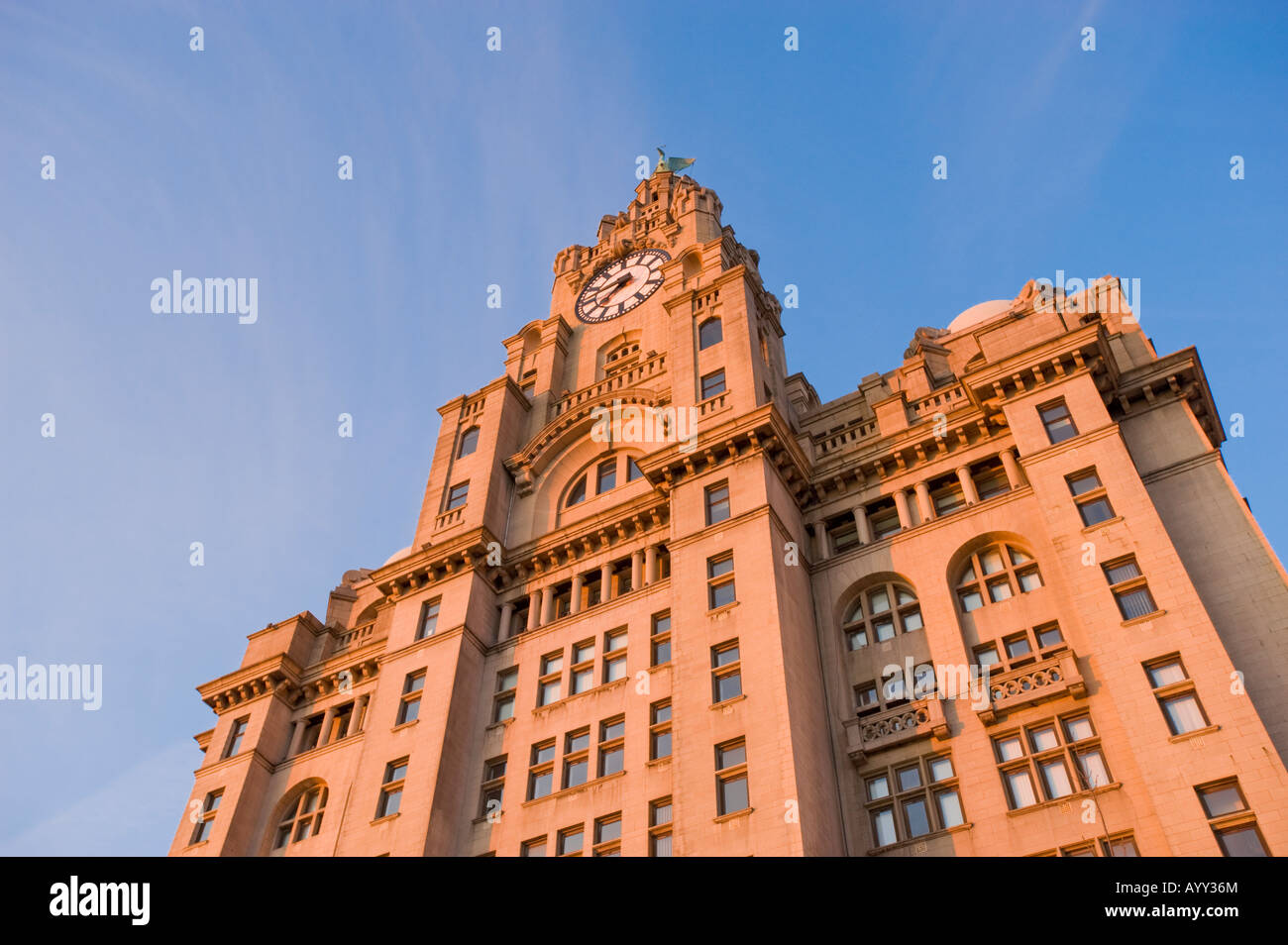 The Royal Liver Building in Liverpool, England, UK. Lit by the warm ...