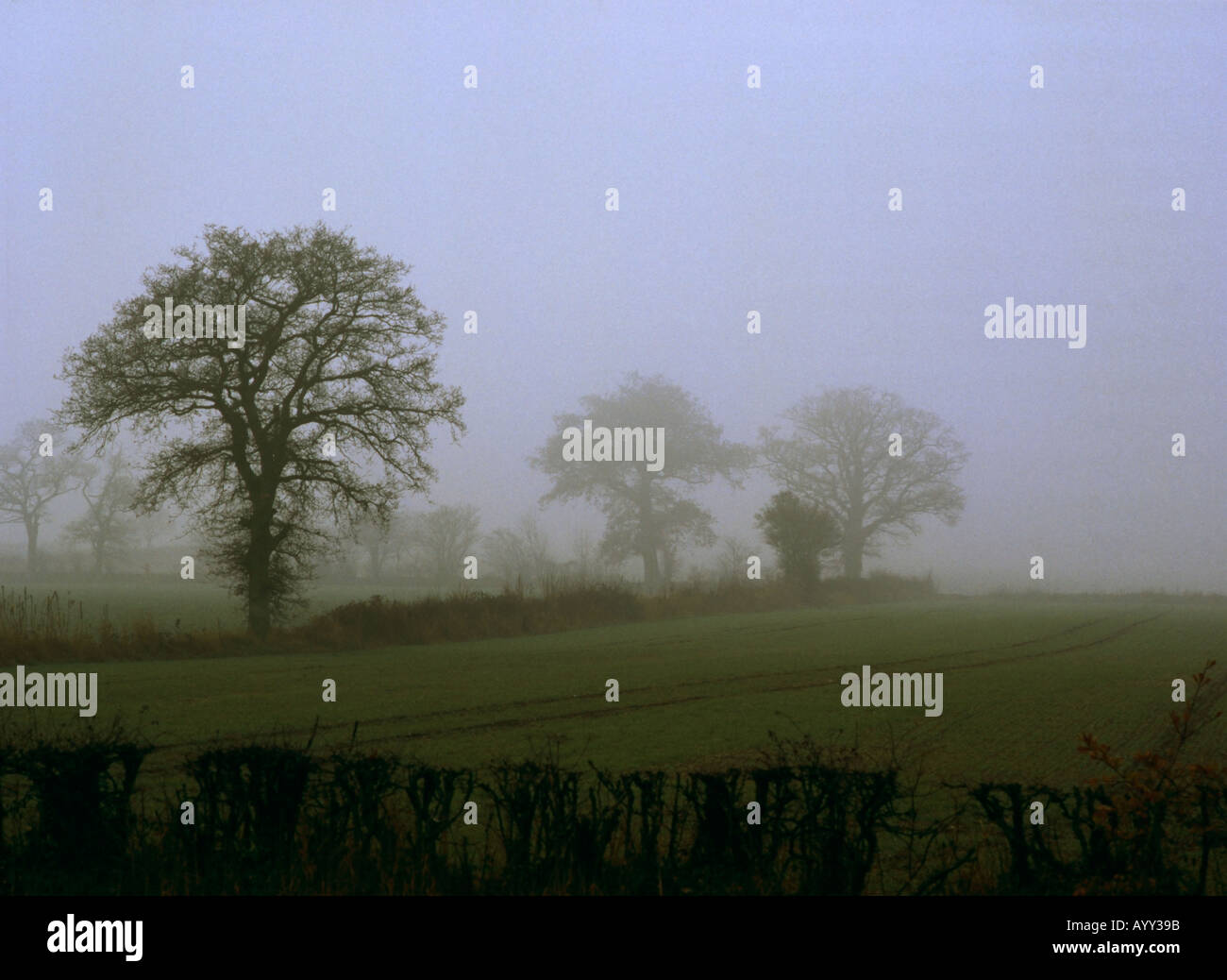 Foggy Morning UK Stock Photo - Alamy