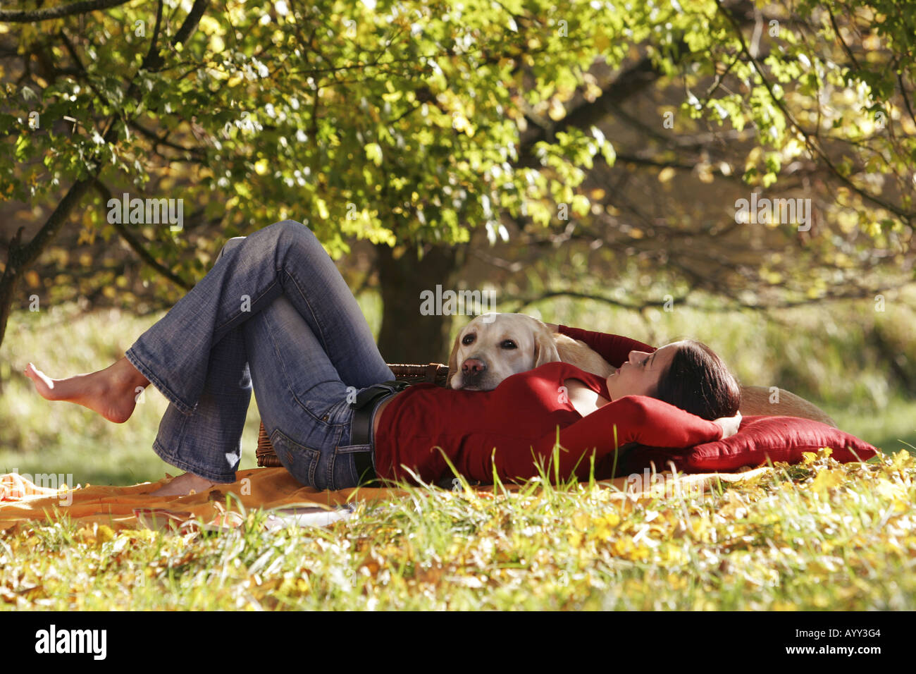 Labrador lying with woman on blanket Stock Photo - Alamy