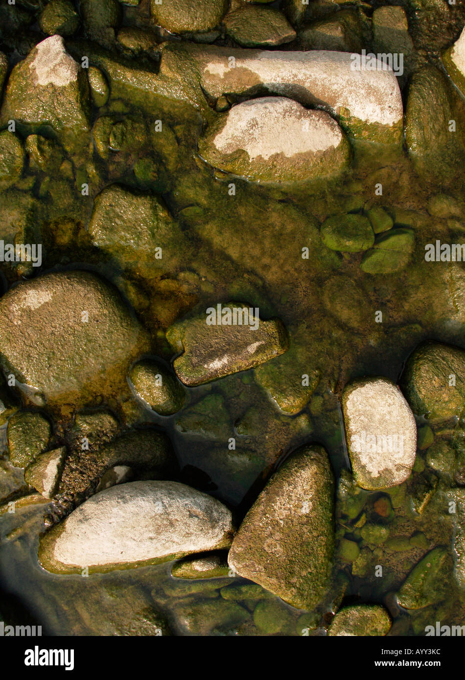 Stones in water Stock Photo - Alamy