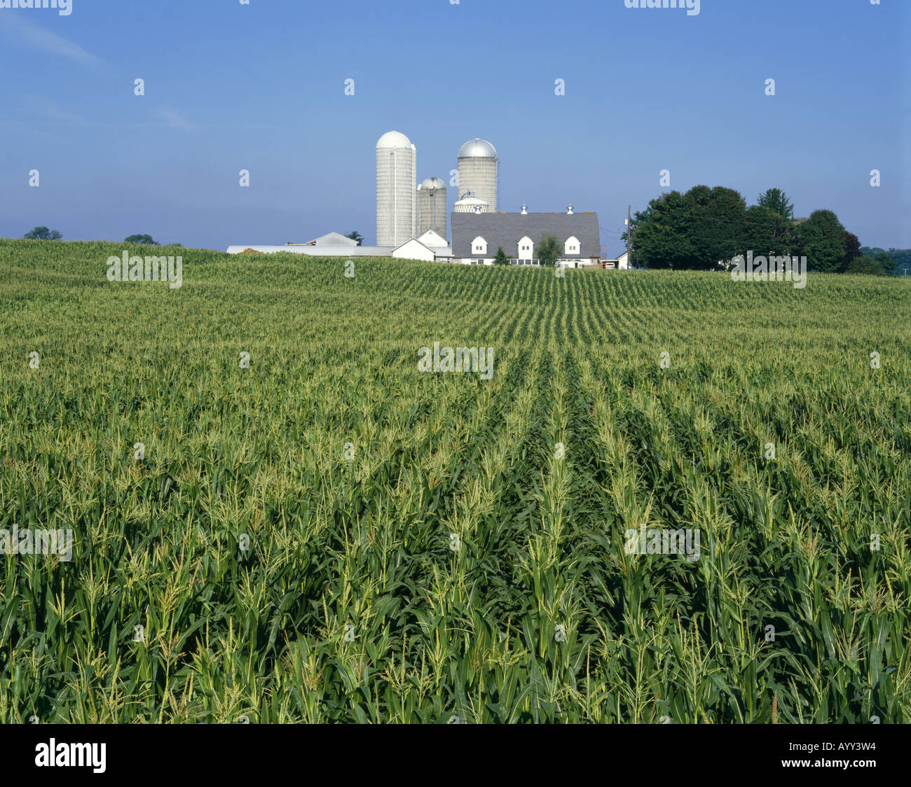 Rural pennsylvania hi-res stock photography and images - Alamy