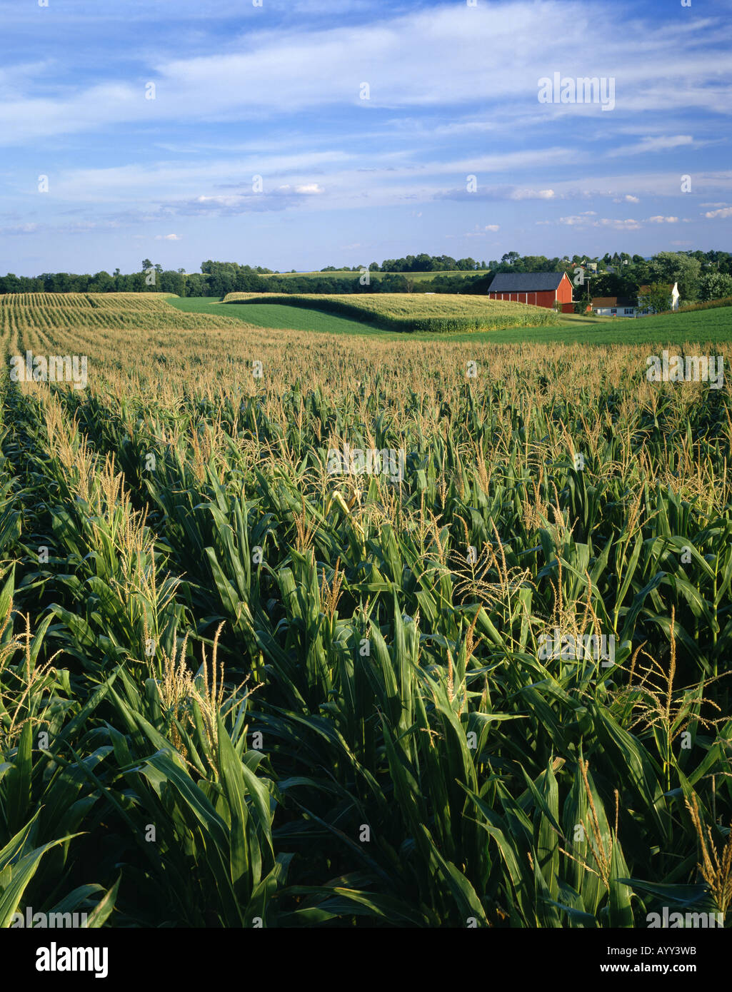 Contour strip farming hi-res stock photography and images - Alamy