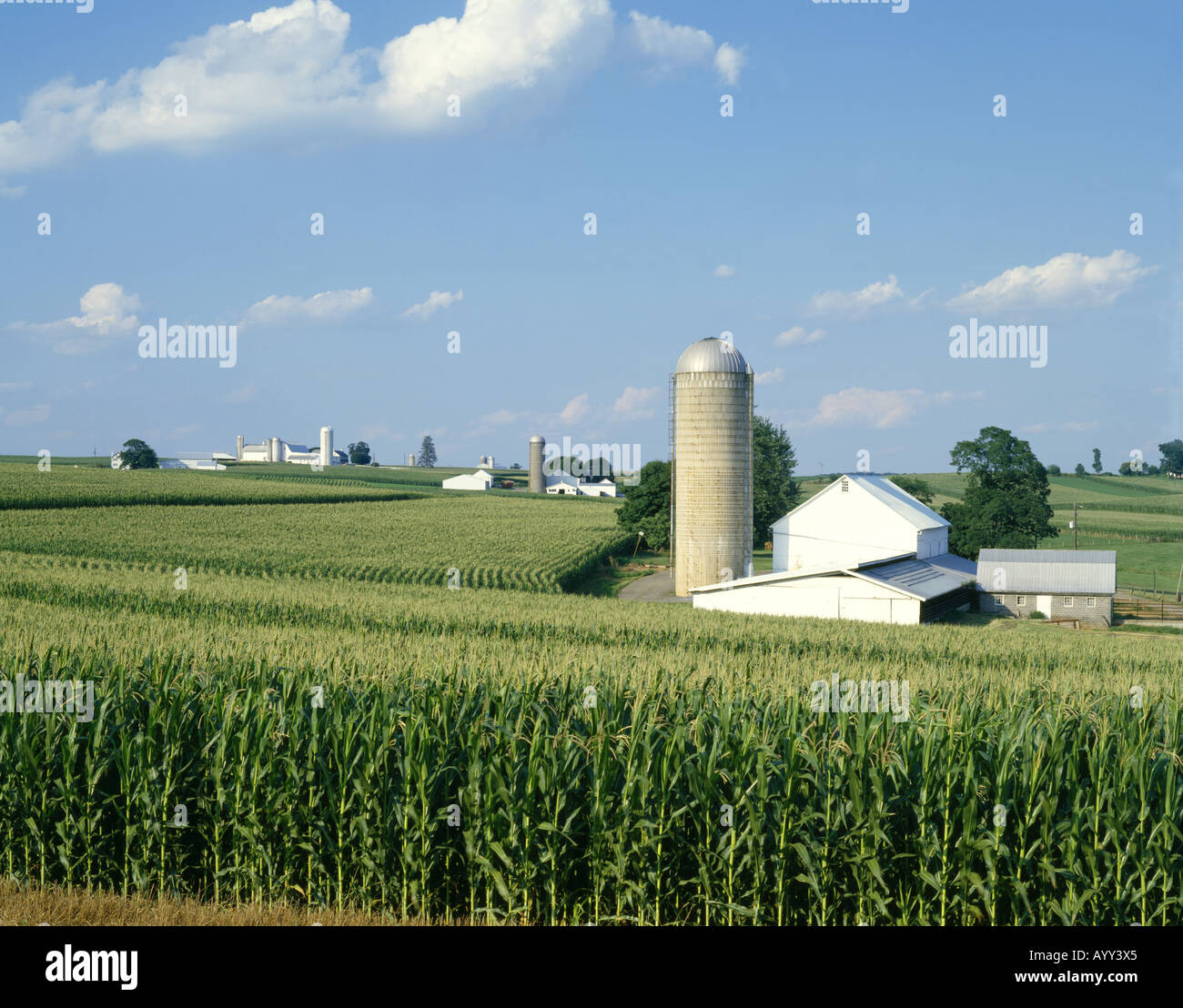 Rural pennsylvania crops hi-res stock photography and images - Alamy
