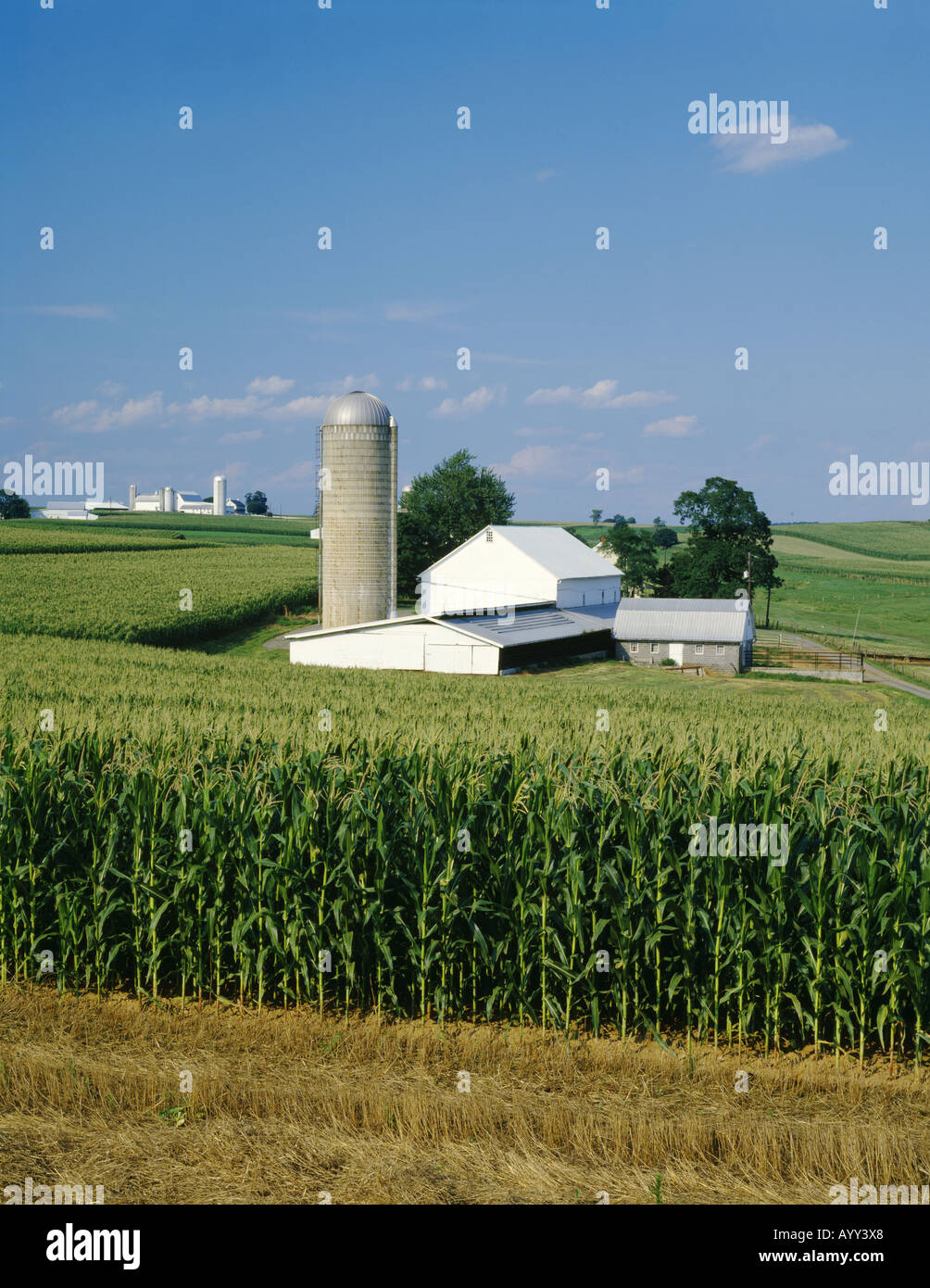 Tassel house hi-res stock photography and images - Alamy