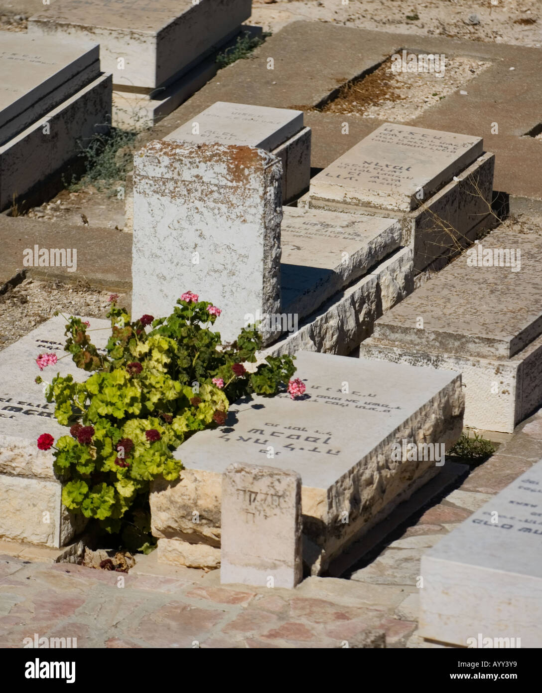 Script headstones jerusalem cemetary hi-res stock photography and ...