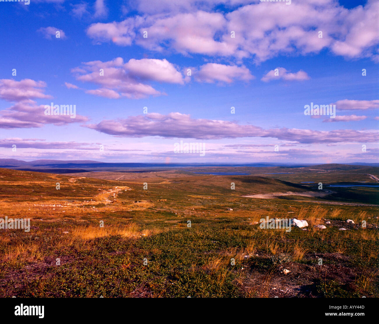Lapland Tundra Finland High Resolution Stock Photography and Images - Alamy
