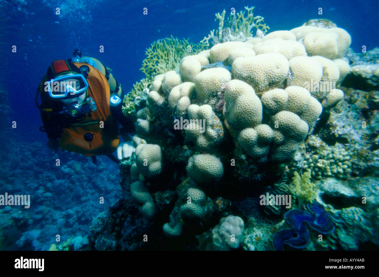 Calciferous hi-res stock photography and images - Alamy