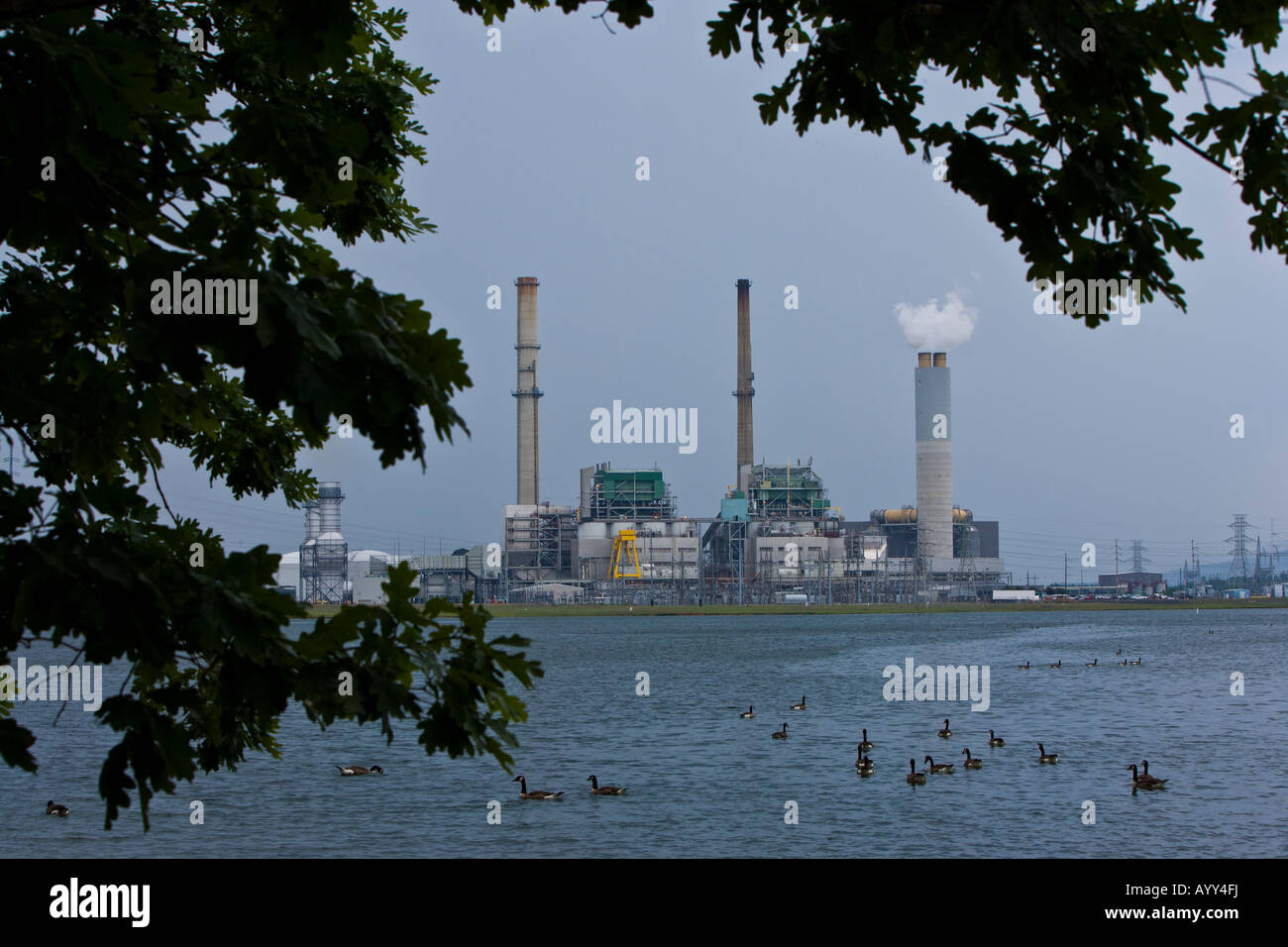 Progress Energy Power Plant in Asheville, North Carolina, U.S.A. at a ...