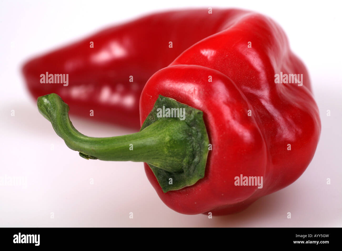 Red Chili pepper Stock Photo - Alamy