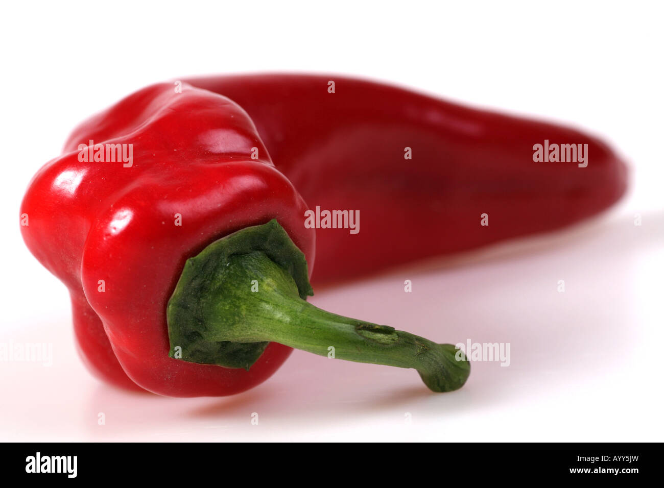 Red Chili pepper Stock Photo - Alamy