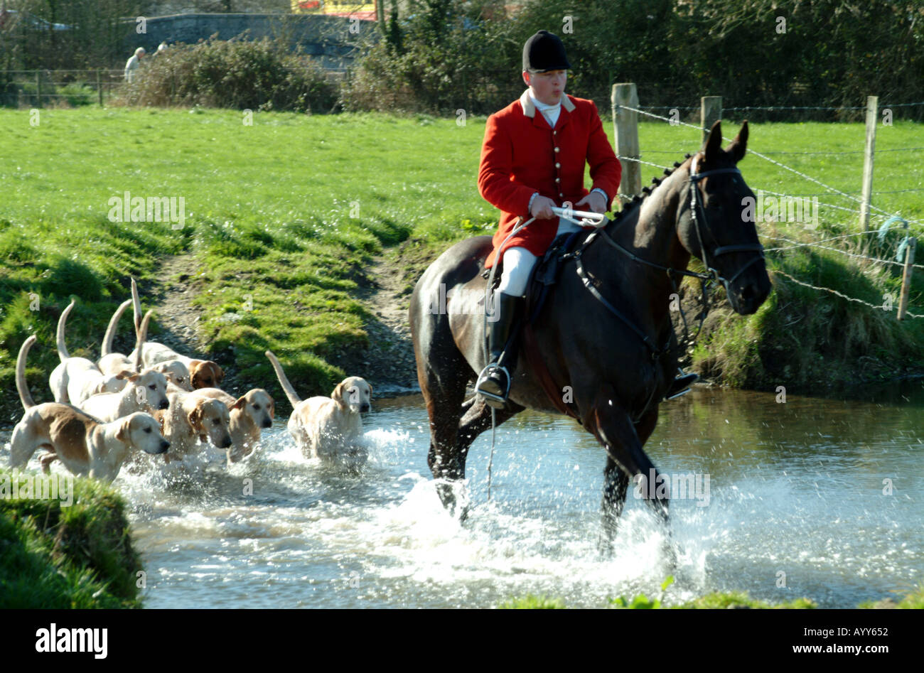 Huntsman horse horses ride hi-res stock photography and images - Alamy