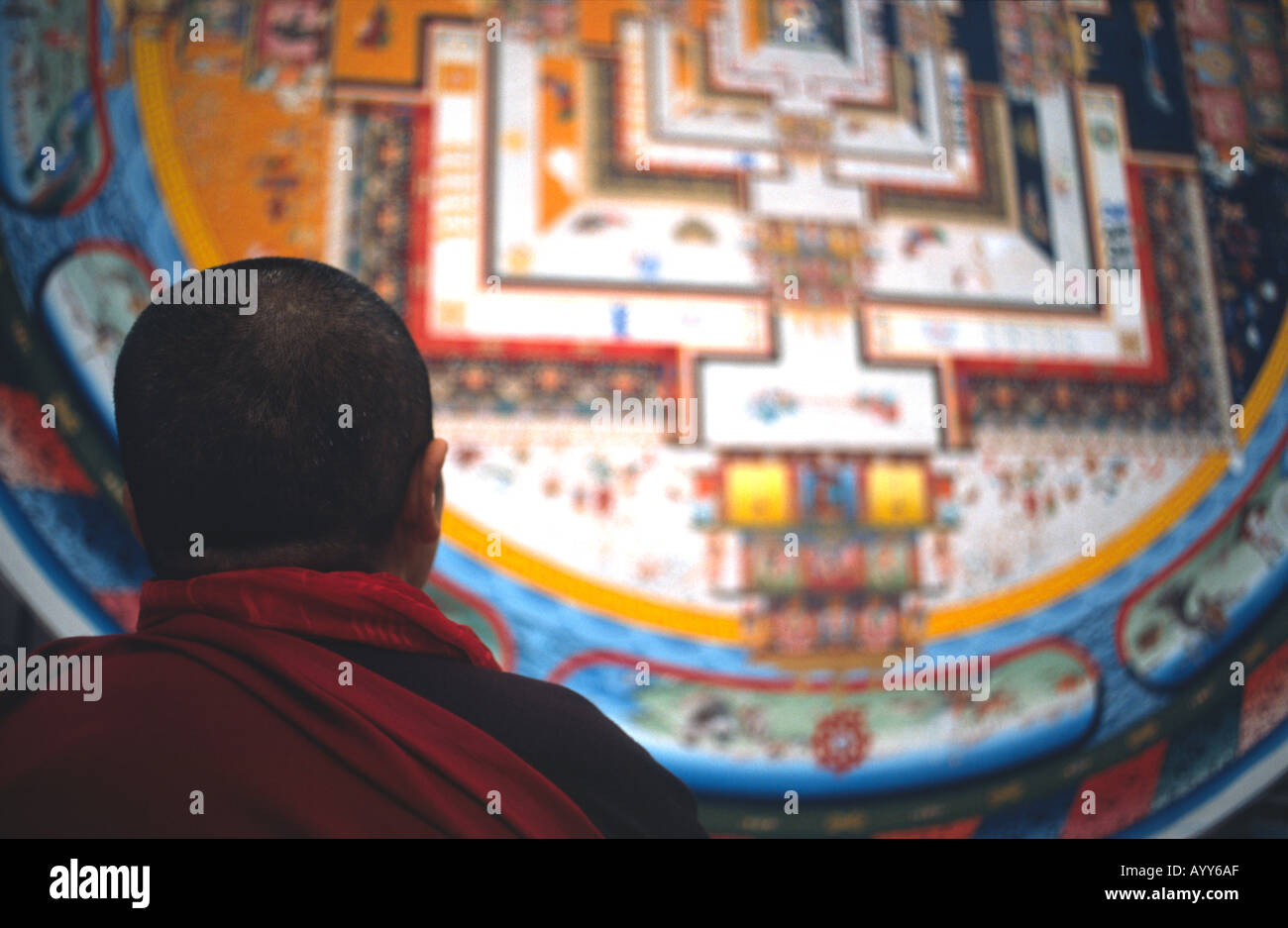 PICTURE CREDIT DOUG BLANE Tibetan Buddhist nun admiring the great ...