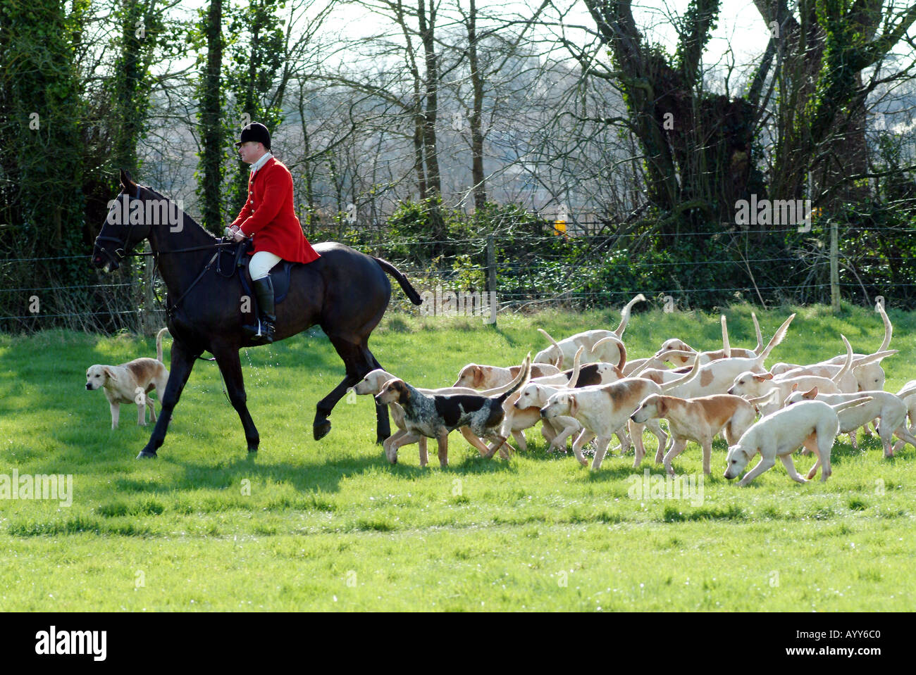 Members of the South Dorset Hunt meet at Dorchester southern England UK ...