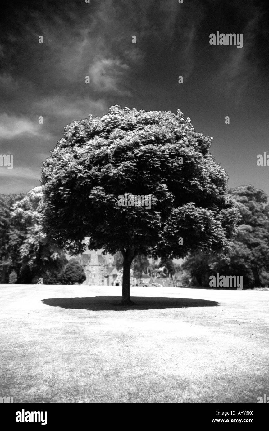 Sunny shadow Black and White Stock Photos & Images - Alamy