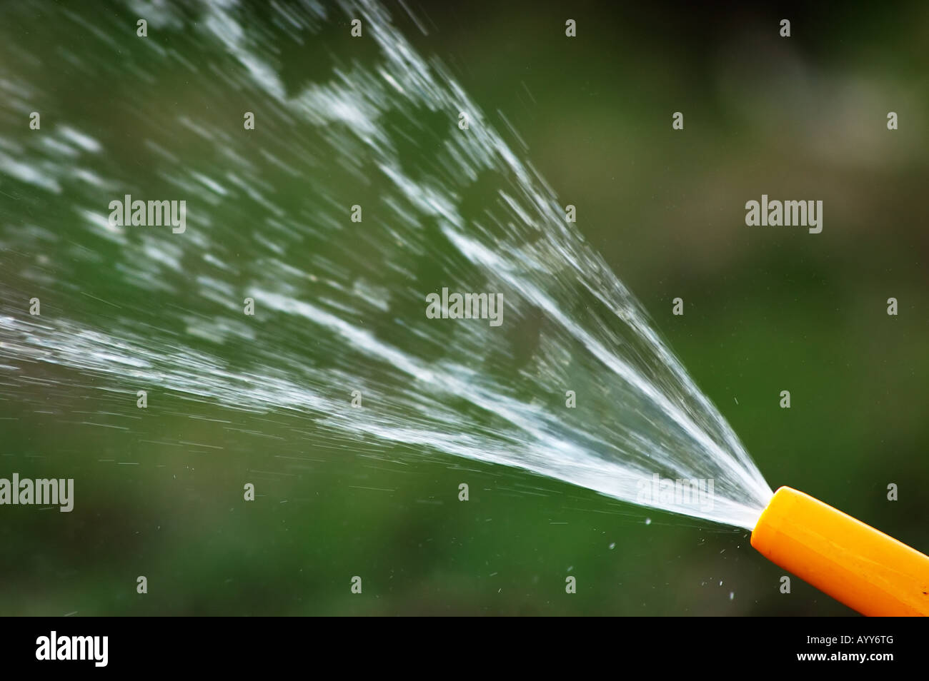 Sprink hi-res stock photography and images - Alamy