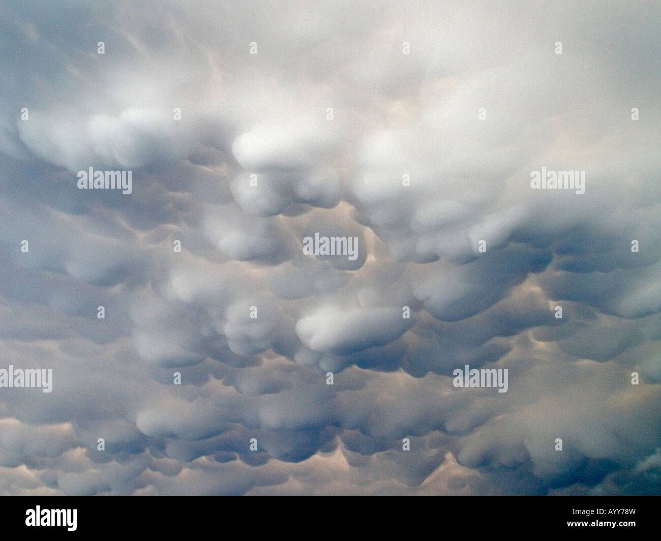 Mammatus effect of cumulonimbus clouds Stock Photo - Alamy